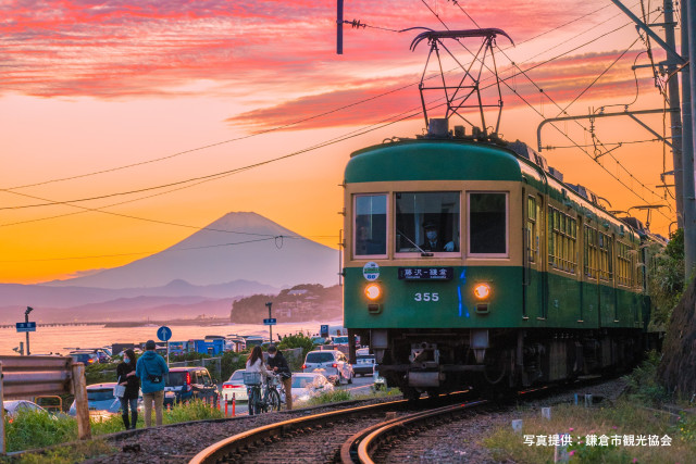花菜ガーデン（神奈川県立花と緑のふれあいセンター）【平塚市】｜体験・観光スポット ｜【公式】神奈川県のお出かけ・観光・旅行サイト「観光かながわNOW」